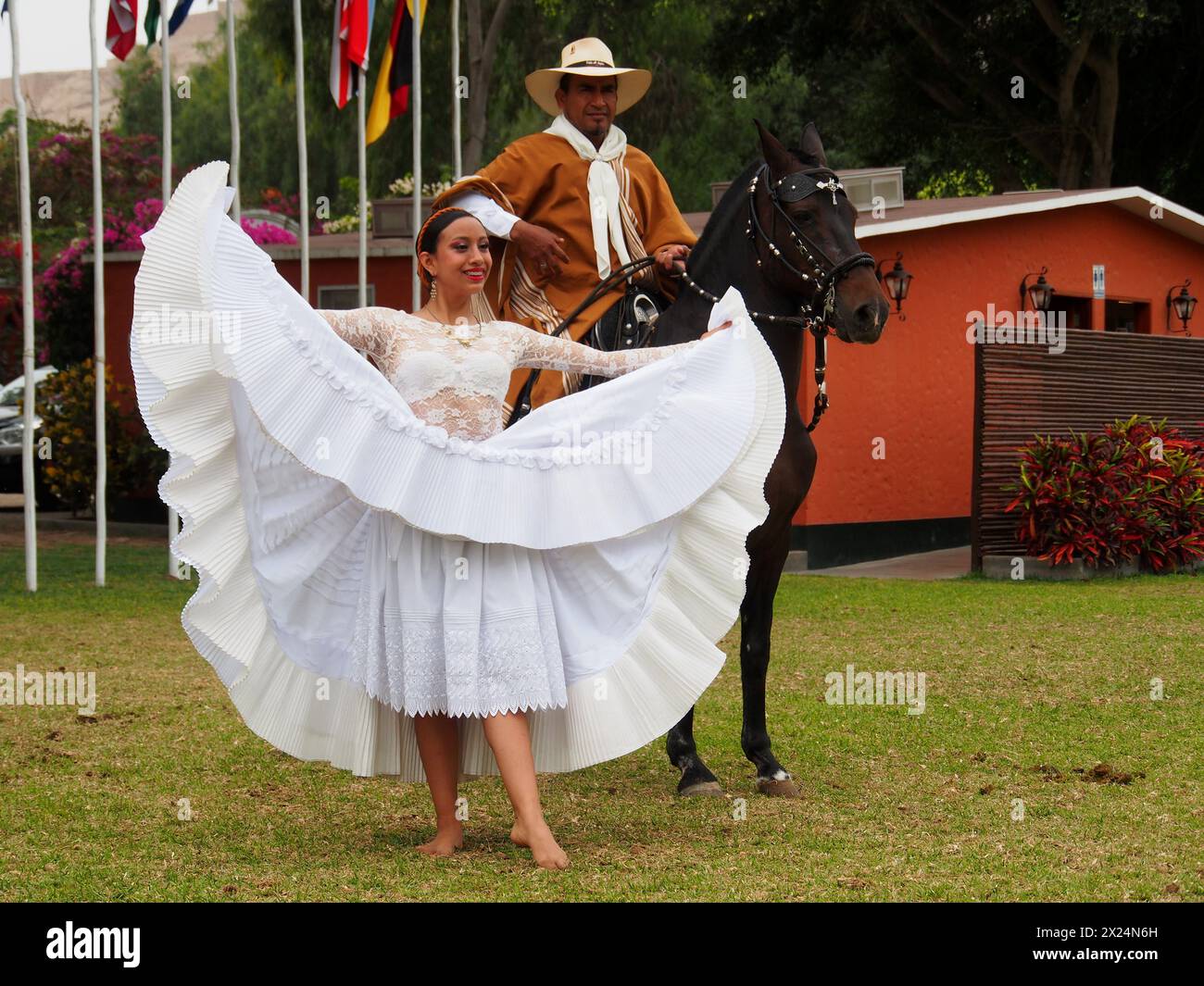 Creole woman in typical costume dancing “Marinera”, a traditional dance ...