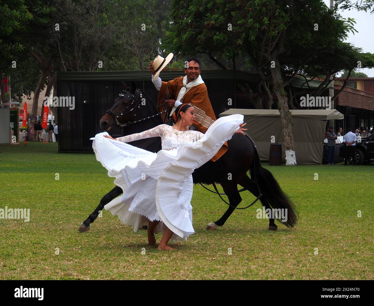 Creole woman in typical costume dancing “Marinera”, a traditional dance ...