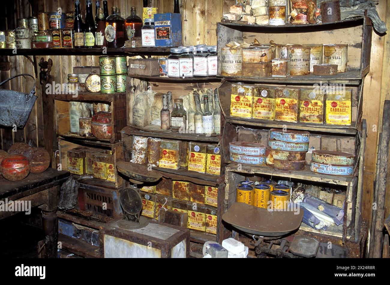 Inside Captain Scott's Terra Nova hut at Cape Evans, Antarctica during ...