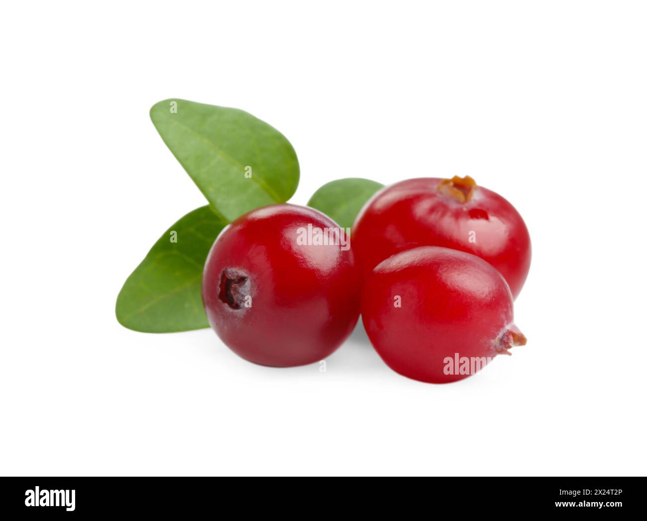 Fresh ripe cranberries with leaves isolated on white Stock Photo - Alamy