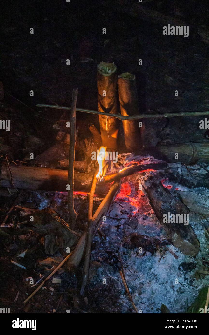 Pieces of bamboo serving as pots for a soup in the forest near Luang ...