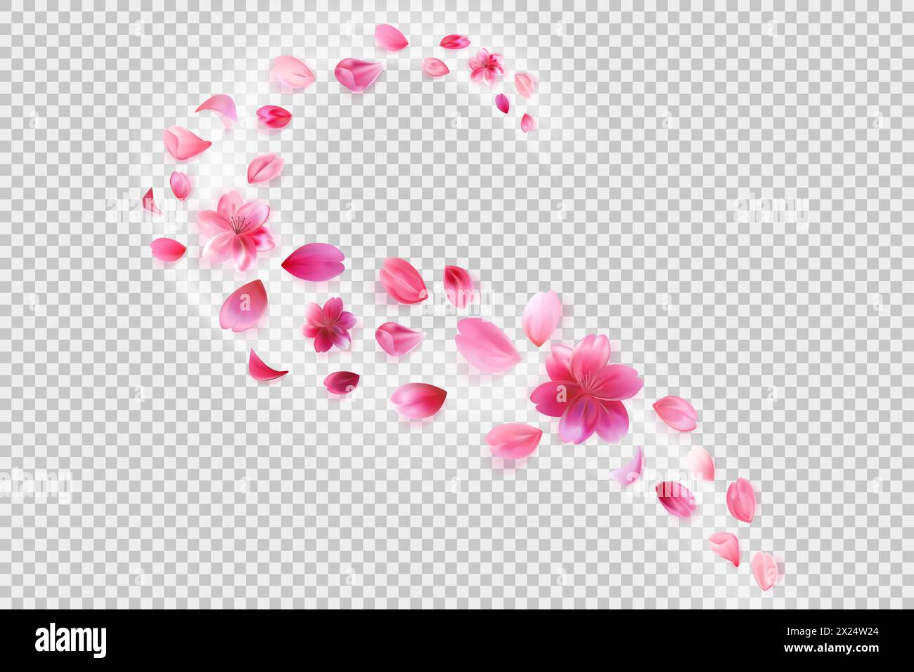 flying sakura petals. Flower decoration on transparent background. Stock vector illustration in ...