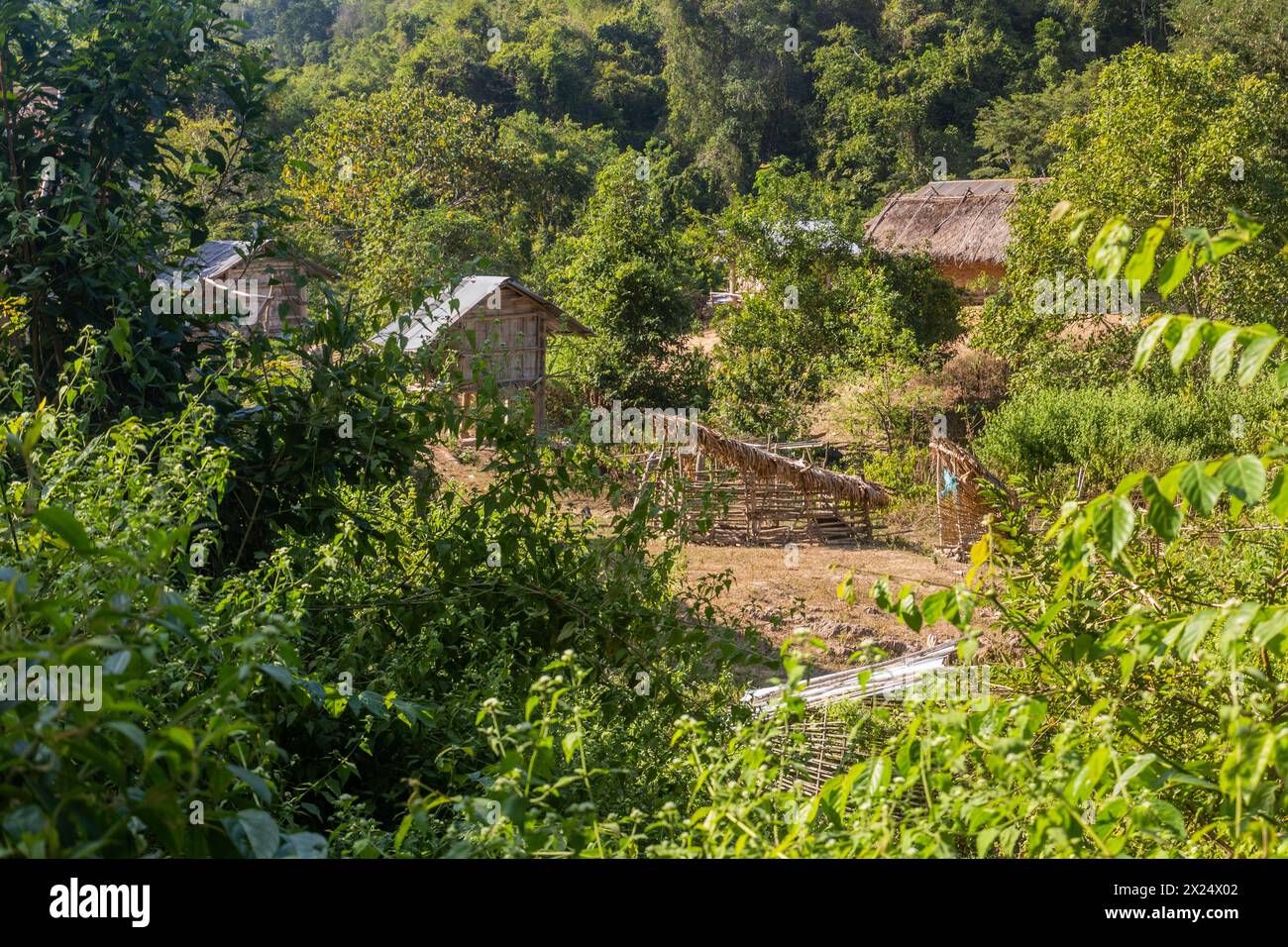 Village in Nam Ha National Protected Area, Laos Stock Photo - Alamy