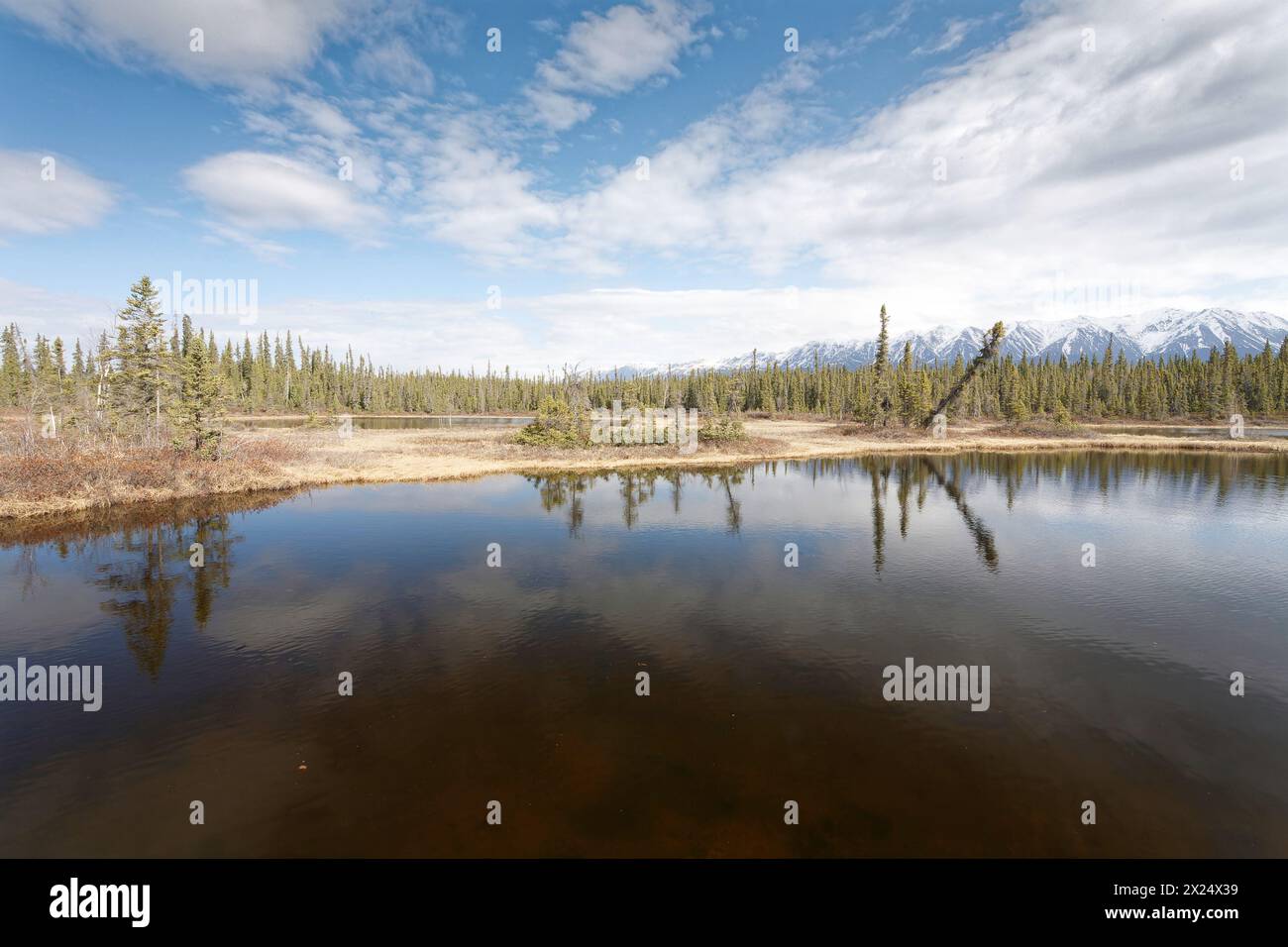Wrangell st elias national park beach hi-res stock photography and ...
