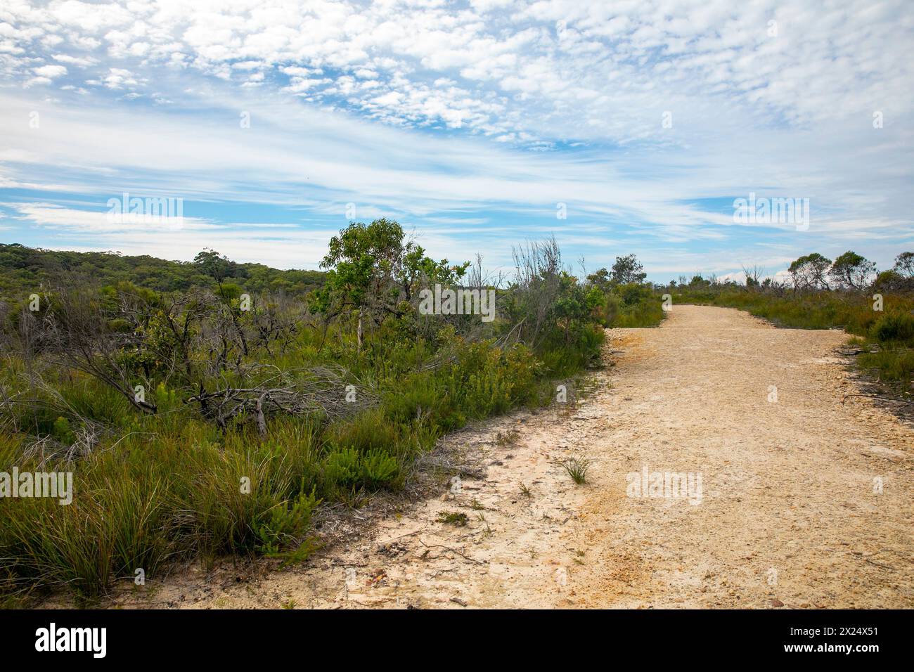 Resolute loop walking trail at West Head in Ku-ring gai chase national ...