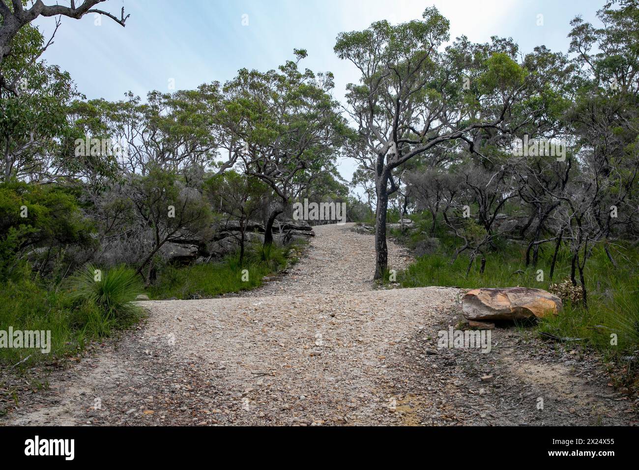 Resolute loop walking trail at West Head in Ku-ring gai chase national ...