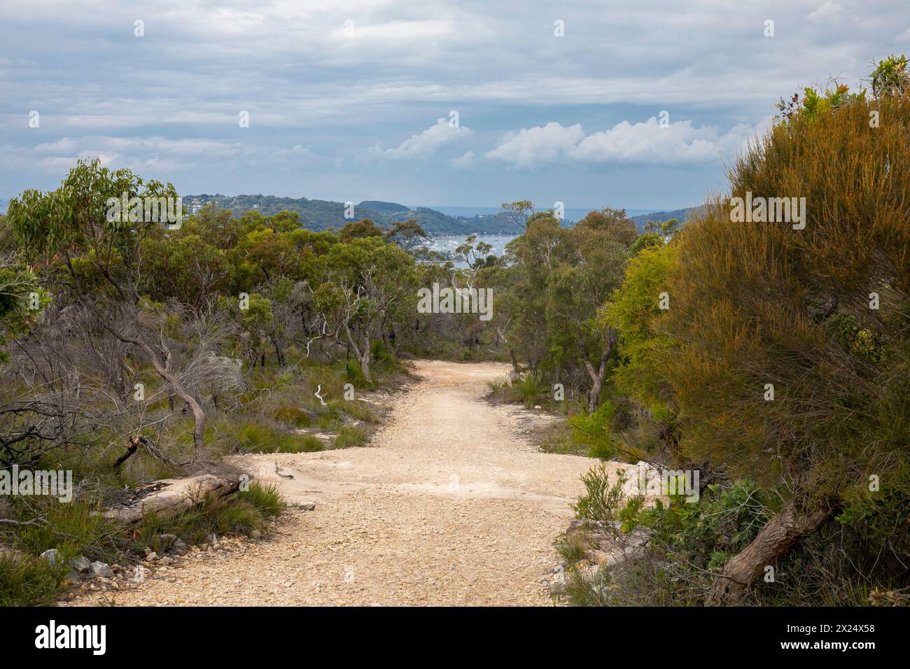 Resolute loop walking trail at West Head in Ku-ring gai chase national ...