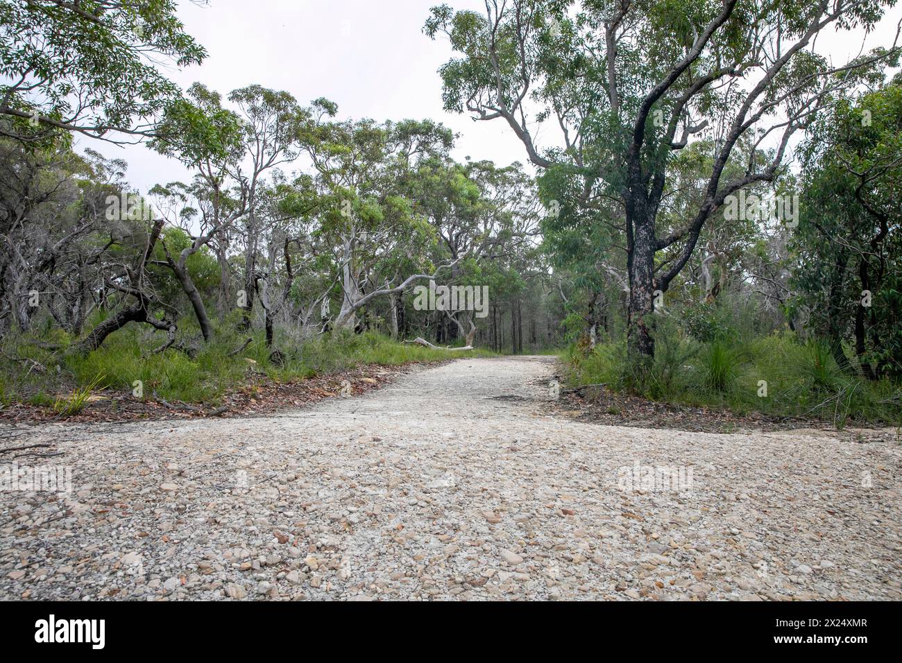 Resolute loop walking trail at West Head in Ku-ring gai chase national ...