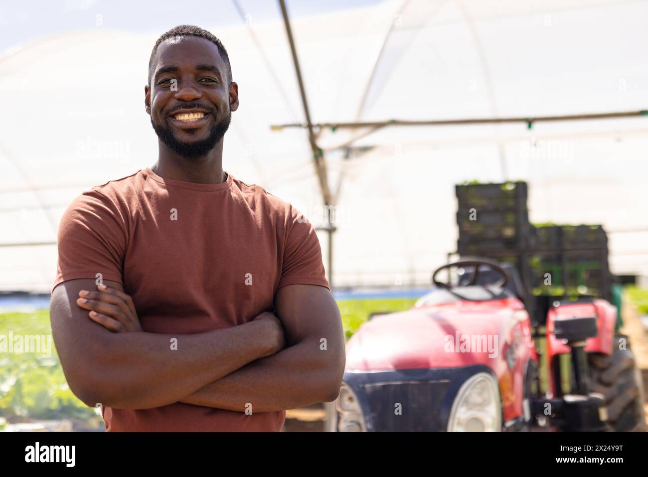 African American male farm supervisor with crossed arms in hydroponic ...