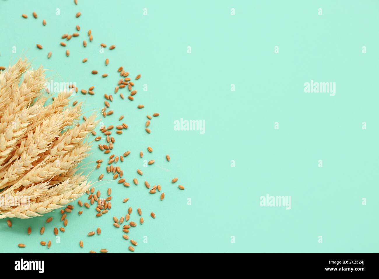 Bundle of wheat ears and grains on turquoise background Stock Photo - Alamy
