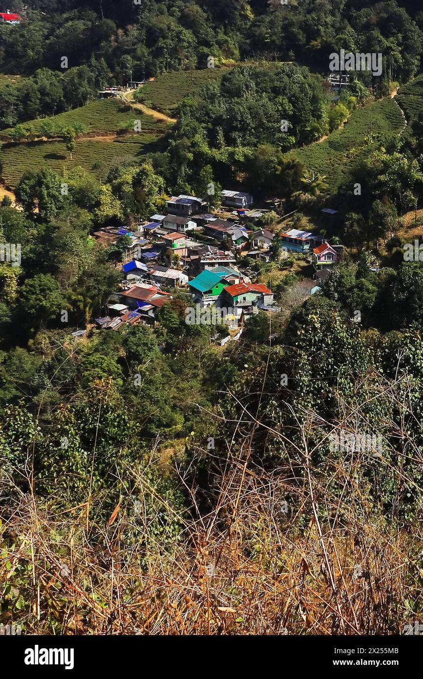 scenic mountain village surrounded by lush green forest, located on ...