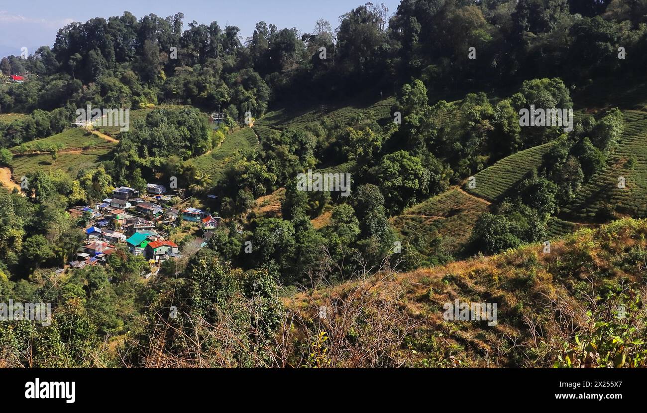 scenic mountain village surrounded by lush green forest, located on ...