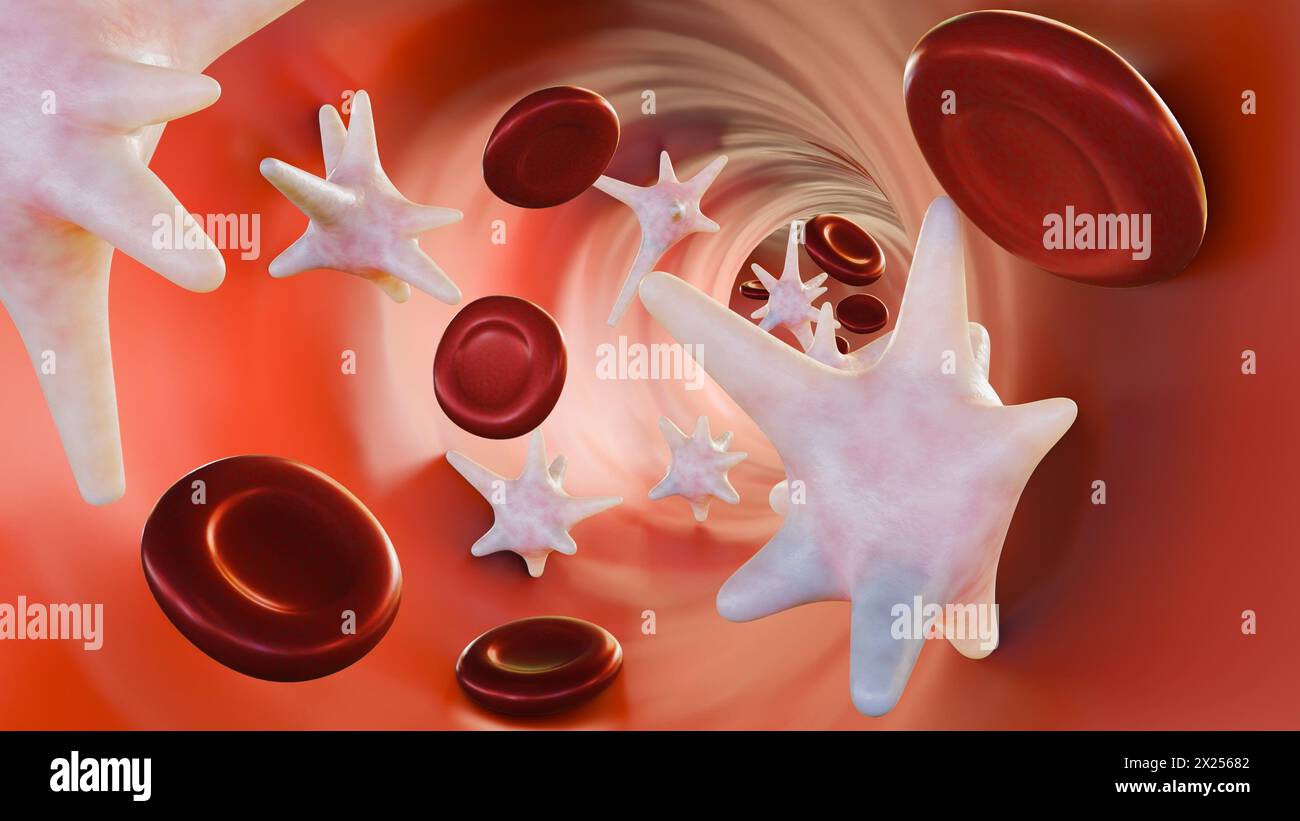 3d rendering of Thrombocytes, are pieces of very large cells in the ...