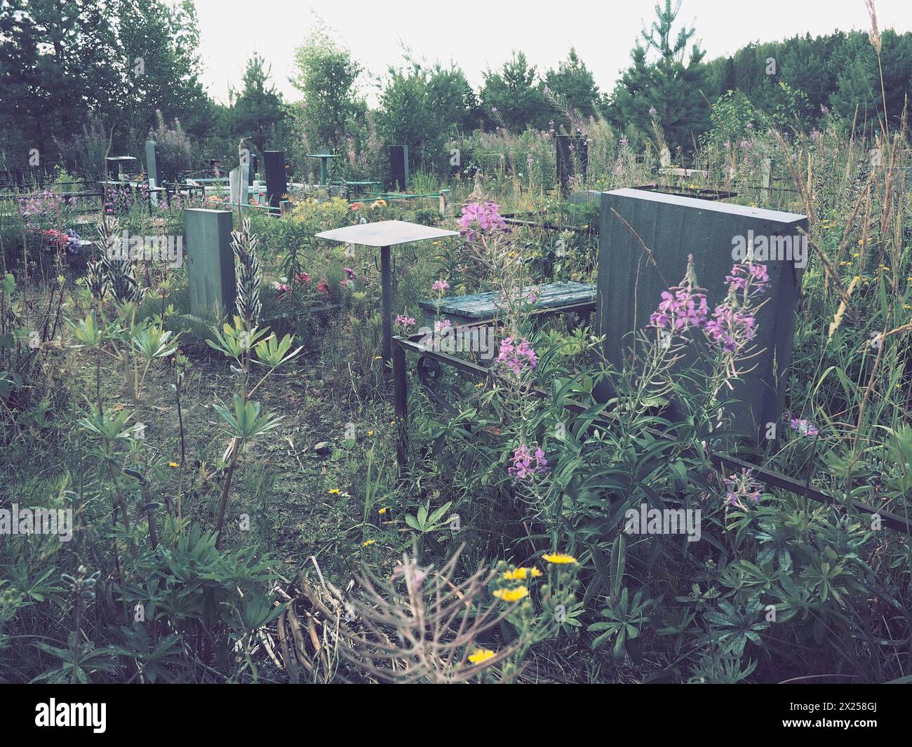 Cemetery with stone monuments. Old abandoned cemetery in the afternoon ...