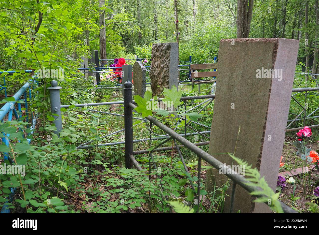 Cemetery with stone monuments. Old abandoned cemetery in the afternoon ...