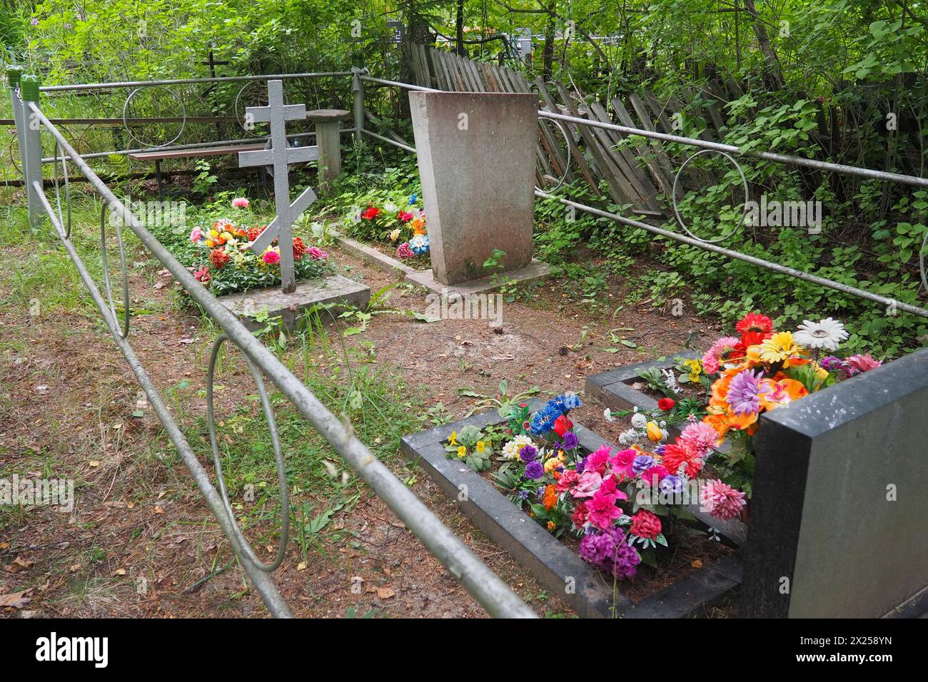 Cemetery with stone monuments. Old abandoned cemetery in the afternoon ...