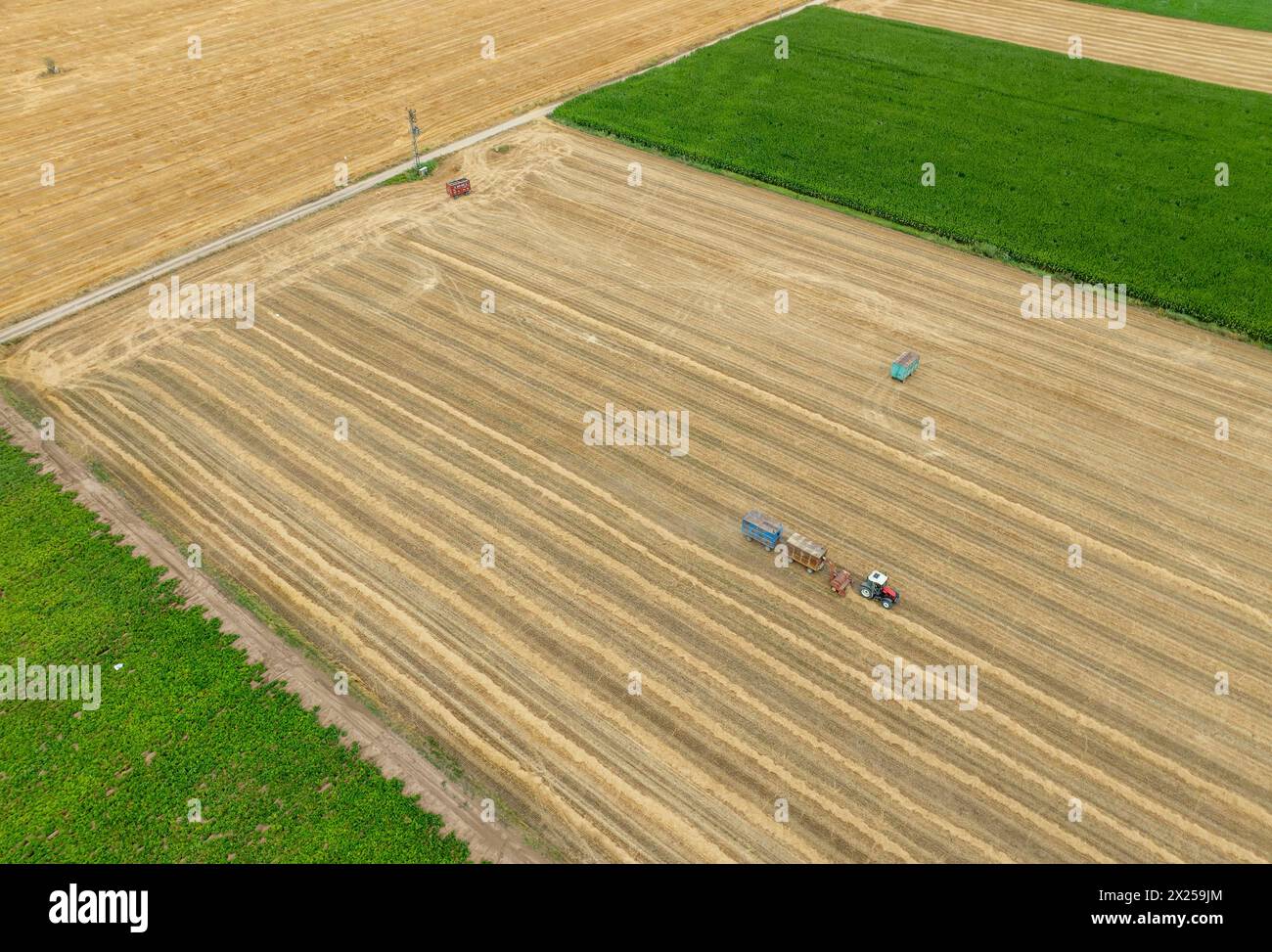 Farm field, farmers work with tractor on farmland Stock Photo - Alamy