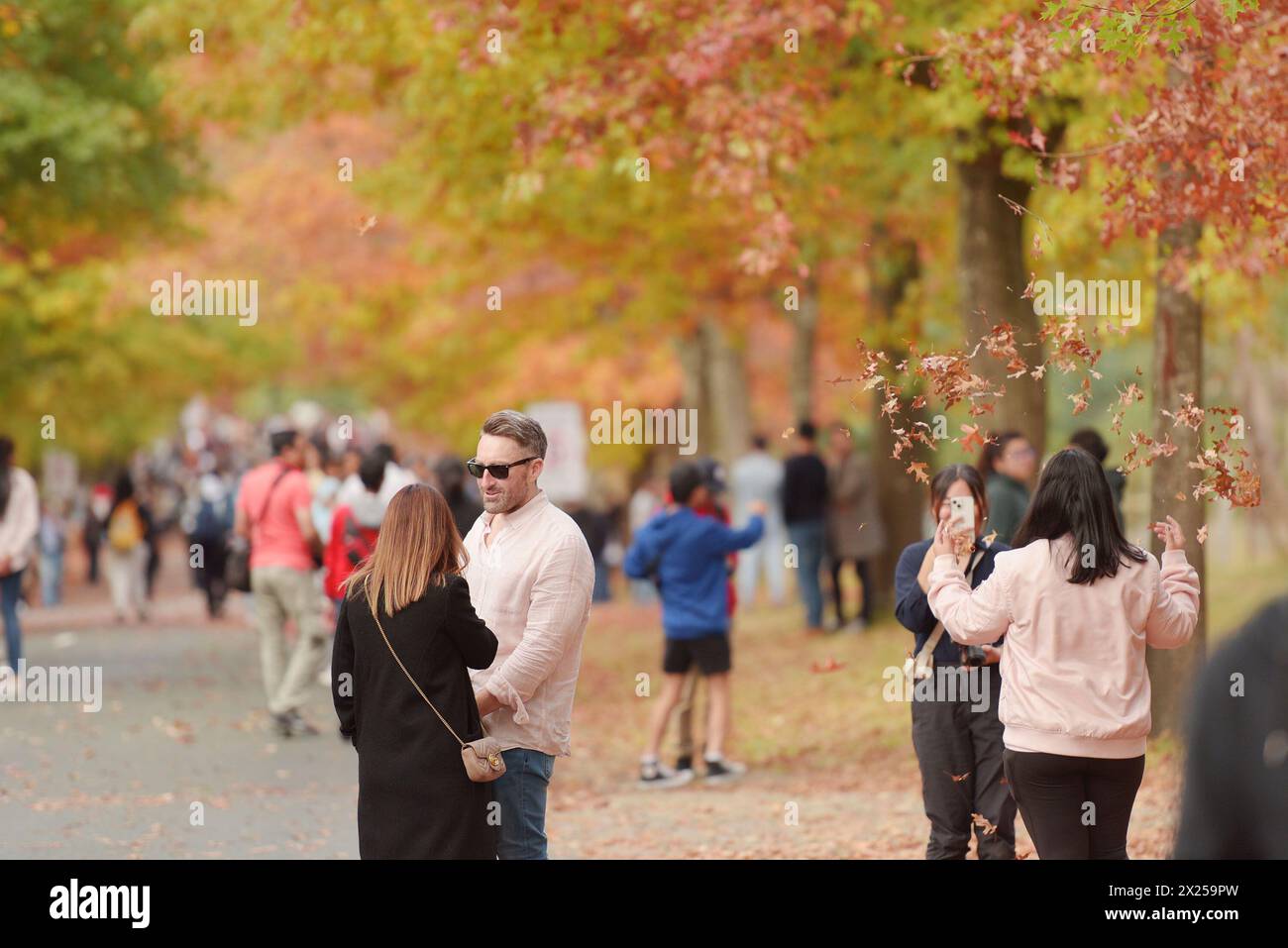 People enjoying autumn at Mount Macedon in Melbourne. The mountain is a ...