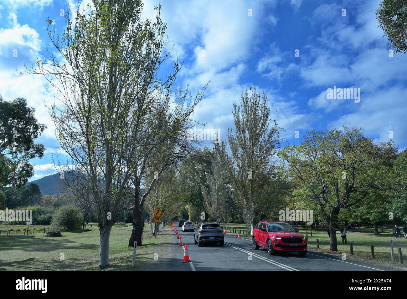 Melbourne, Victoria, Australia. 19th Apr, 2024. People enjoying autumn ...