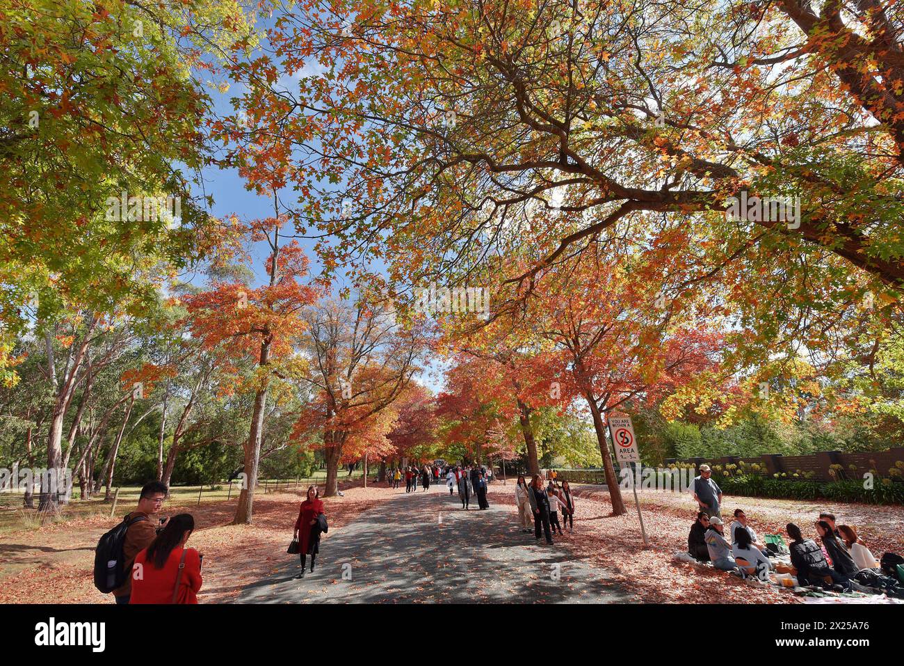 Melbourne, Victoria, Australia. 19th Apr, 2024. People enjoying autumn ...