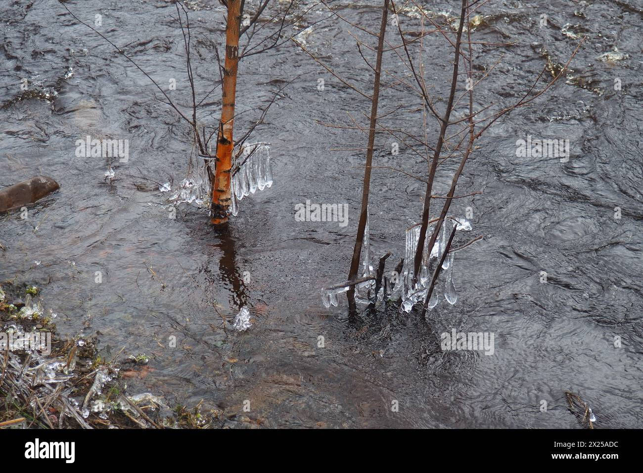 Spring flood. Rushing water in the river, top view. Dark ferrous water ...