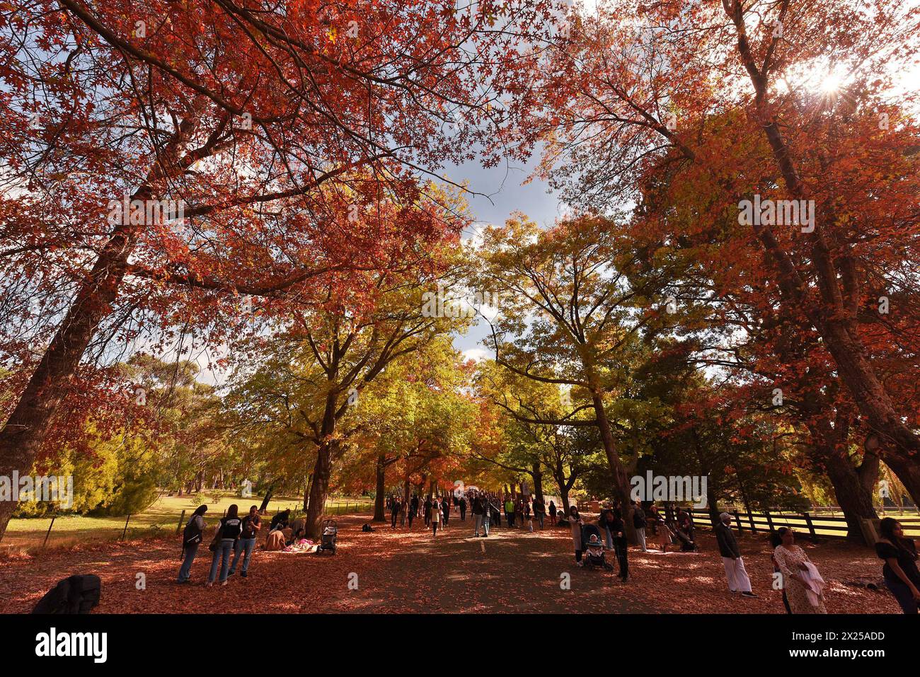 Melbourne, Victoria, Australia. 19th Apr, 2024. People enjoying autumn ...