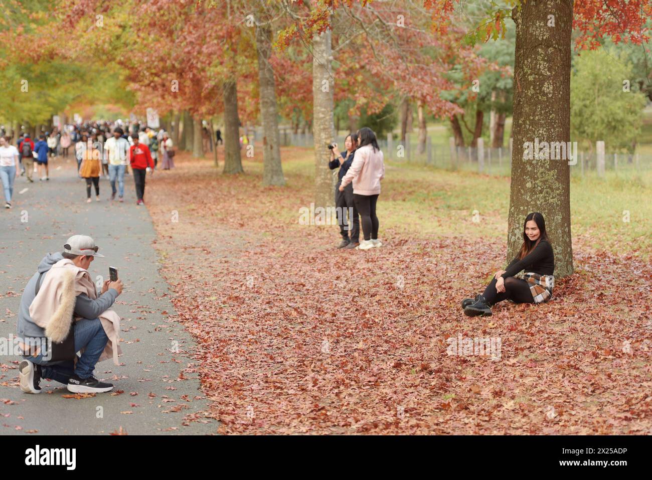 Soul soothing environment hi-res stock photography and images - Alamy