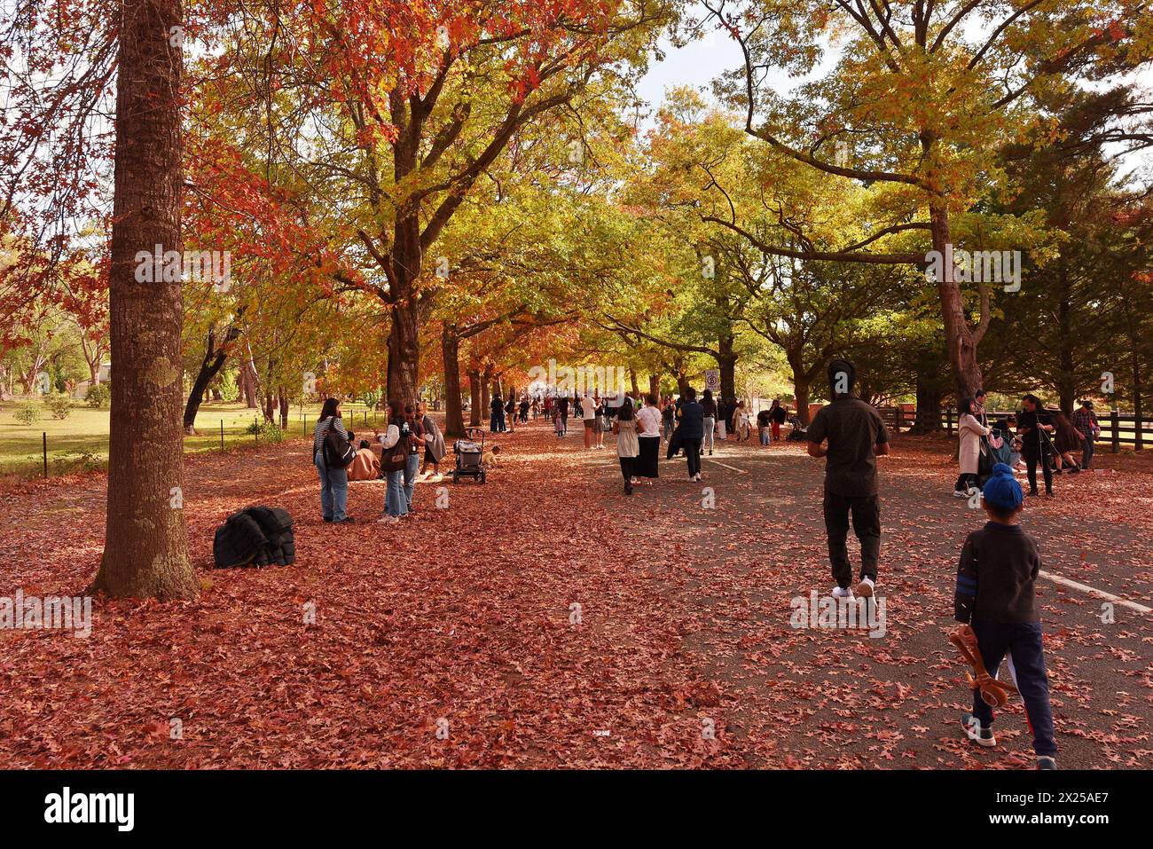 Macedon outdoor activities hi-res stock photography and images - Alamy