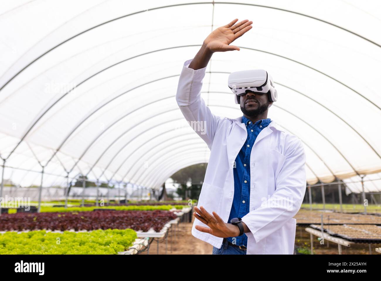 African American young male farm supervisor in VR headset at hydroponic ...