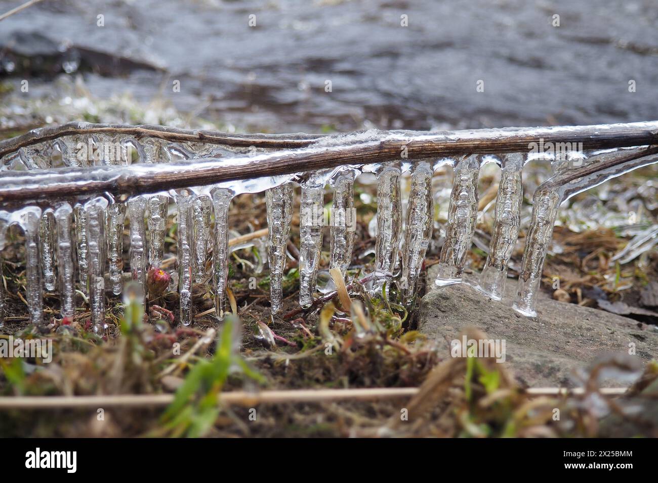 Ice is water in a solid state of aggregation. Ice icicles and ...