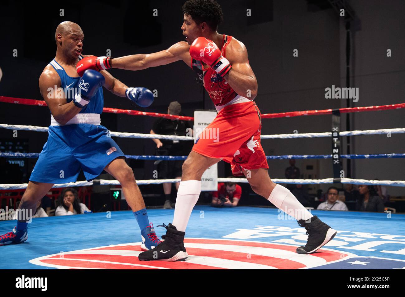 Aussie boxer hi-res stock photography and images - Alamy
