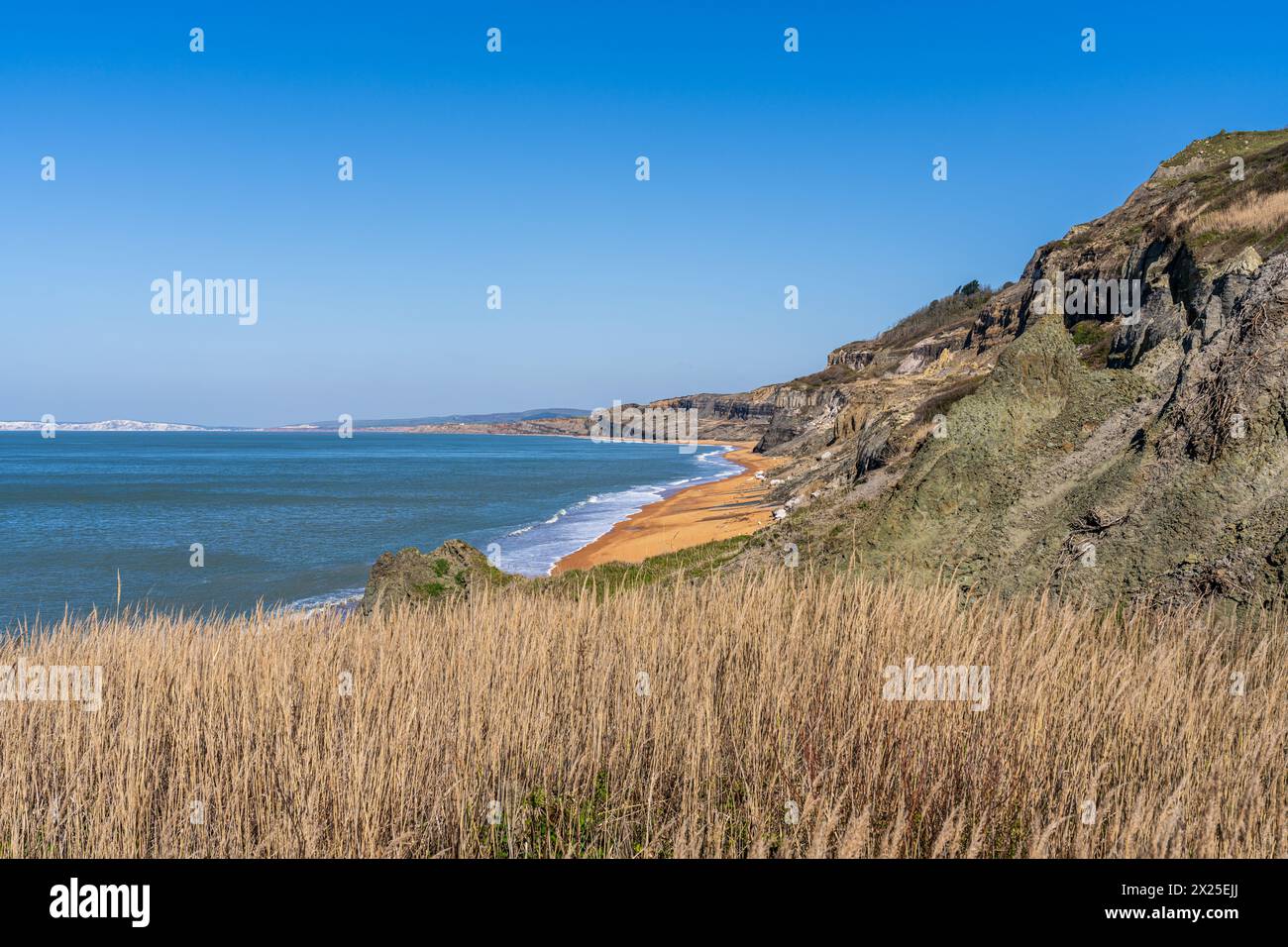 Evening on the Channel Coast near Chale Bay on the Isle of Wight ...