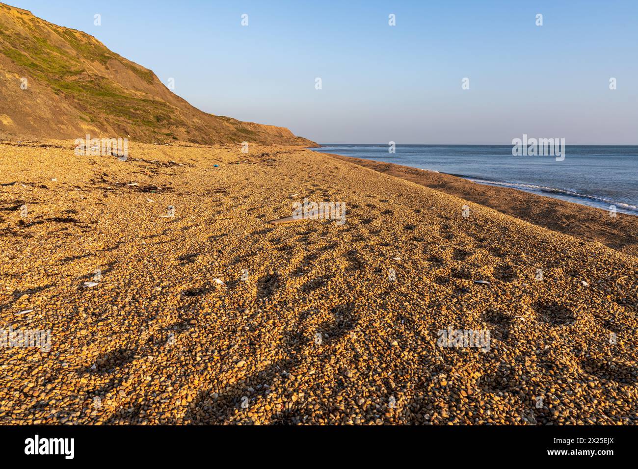 The Channel Coast at Shepherds Chine near Atherfield, Isle of Wight ...