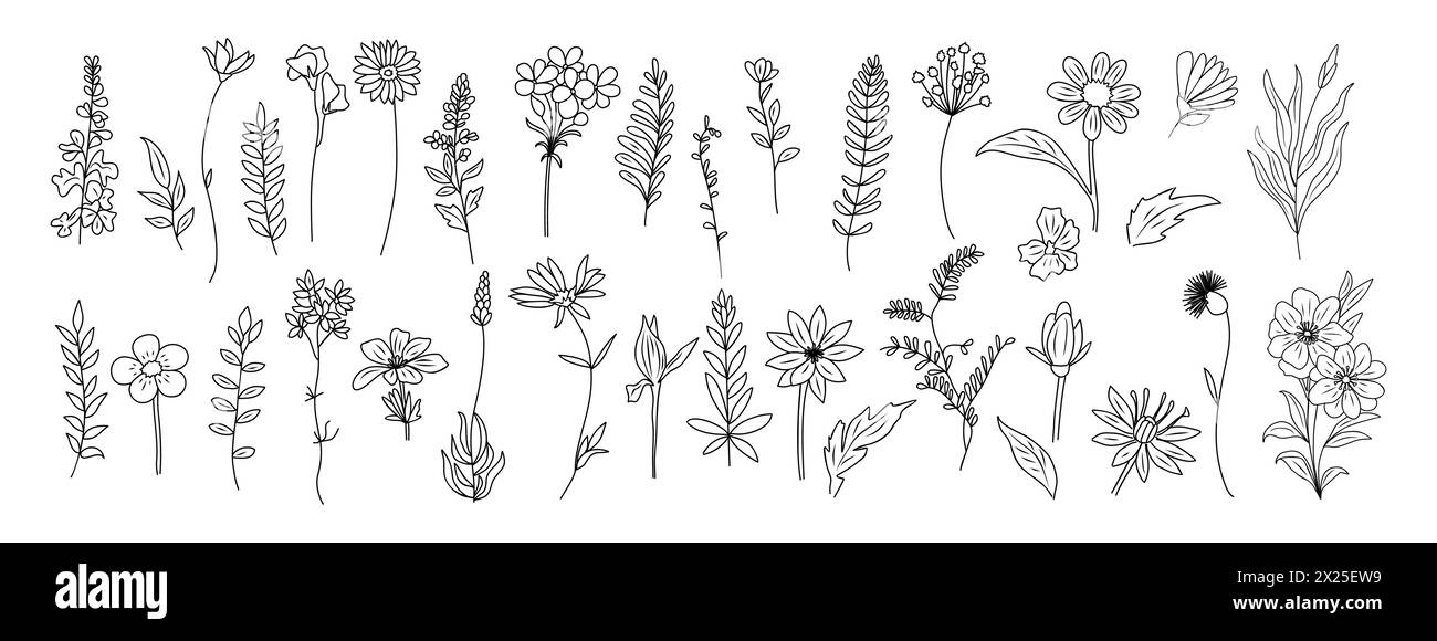 Set of tiny wild flowers, plants line art vector Stock Vector Image ...