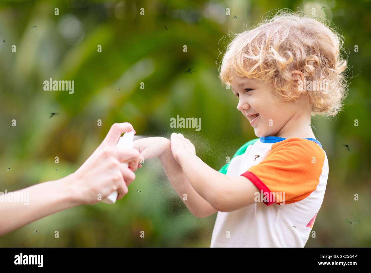 Mosquito on kids skin. Little boy attacked by mosquitoes in tropical ...