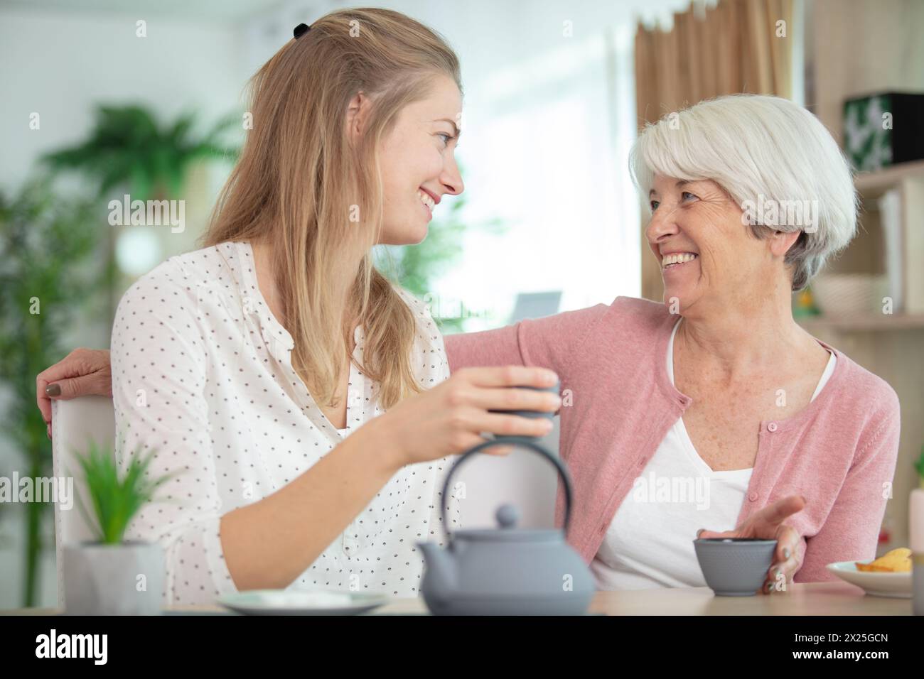 granddaughter visiting grandmother and having tea together Stock Photo ...