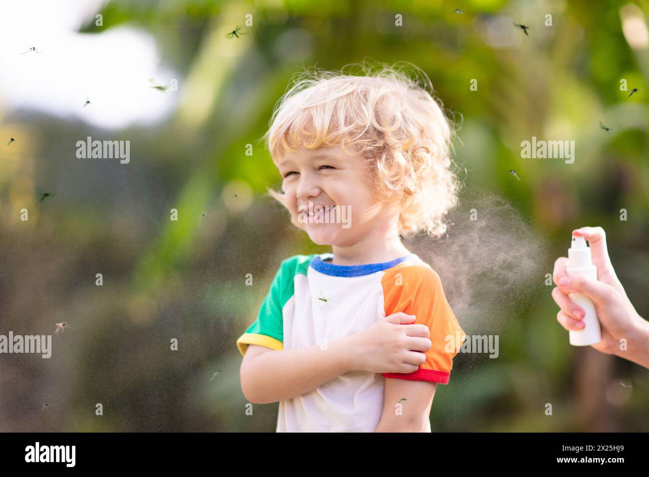 Mosquito on kids skin. Little boy attacked by mosquitoes in tropical ...