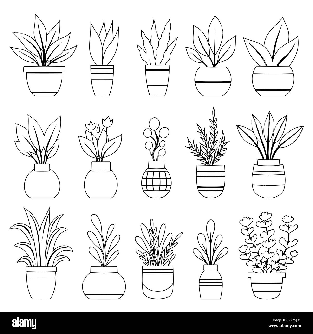 Vector set of outline various plants in vases. Collection of monochrome ...