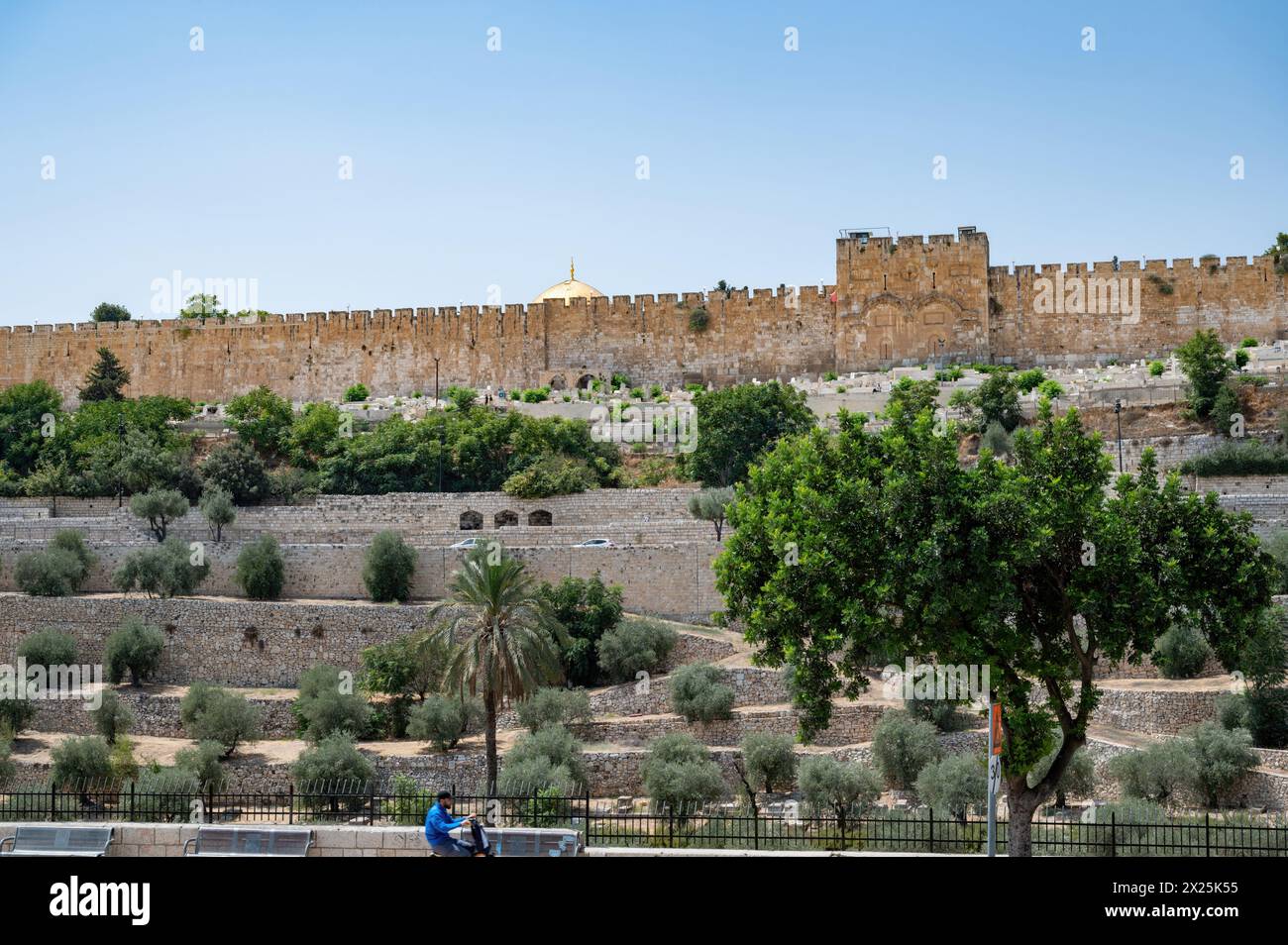Al aqsa museum hi-res stock photography and images - Alamy