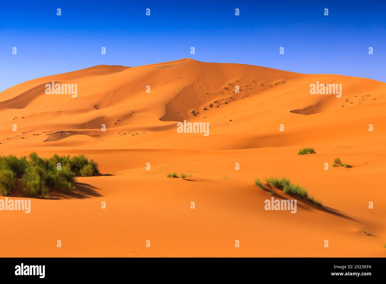 The Sahara Desert, Morocco. Sand dunes landscape of the Erg Chebbi ...