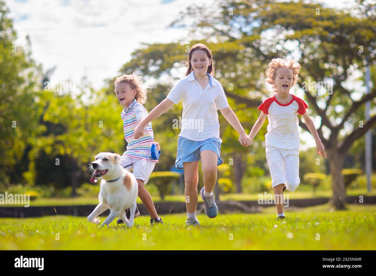 Family with kids running outdoor on sunny summer day. Siblings play in ...
