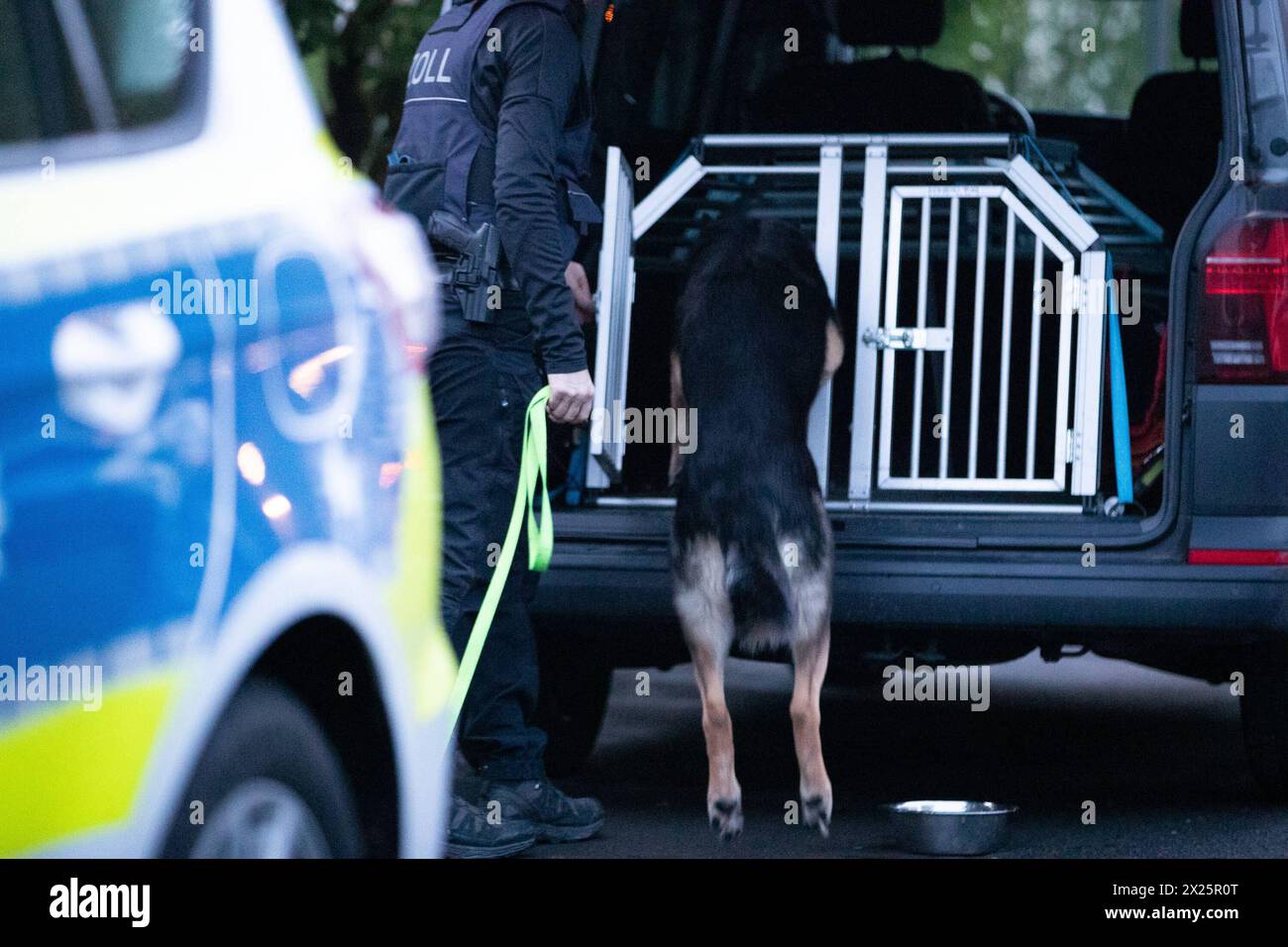 Zollbeamte mit einem Diensthund bei einer Razzia gegen Schleuser in ...