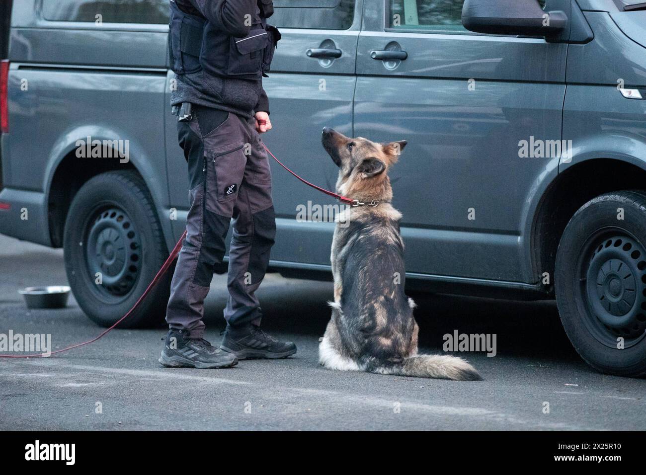 Zollbeamte mit einem Diensthund bei einer Razzia gegen Schleuser in ...