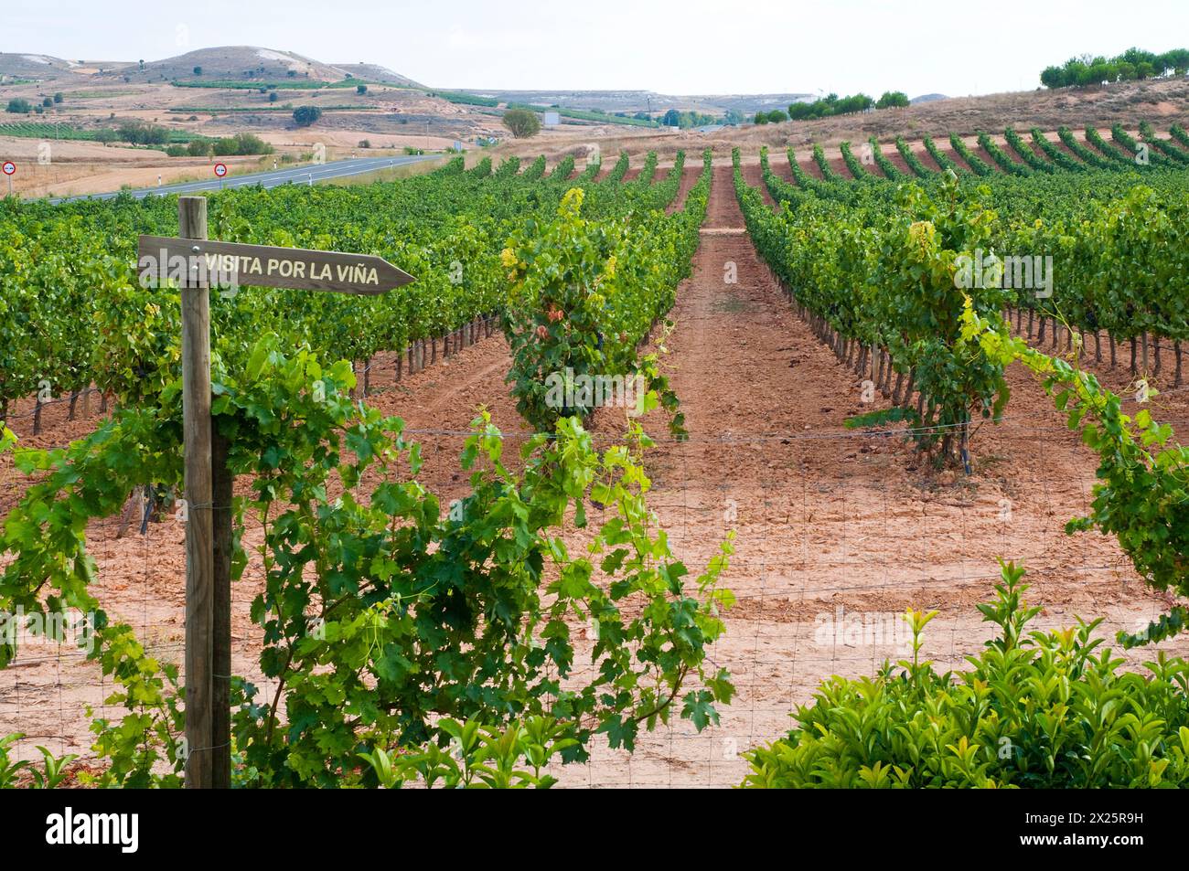 Agricultura de ribera hi-res stock photography and images - Alamy