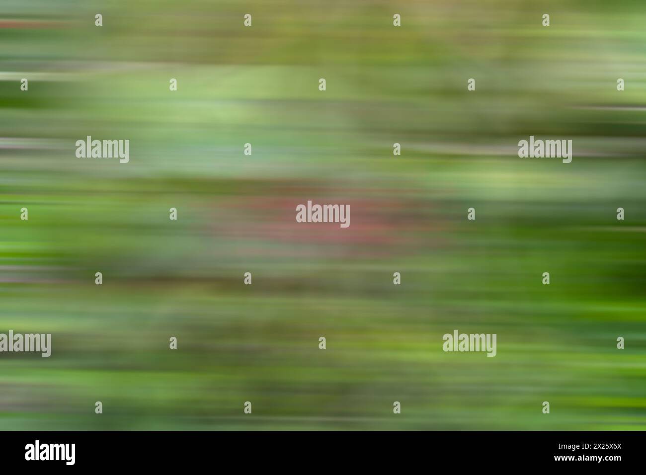 Blurry Green Background Images Stock Photo - Alamy