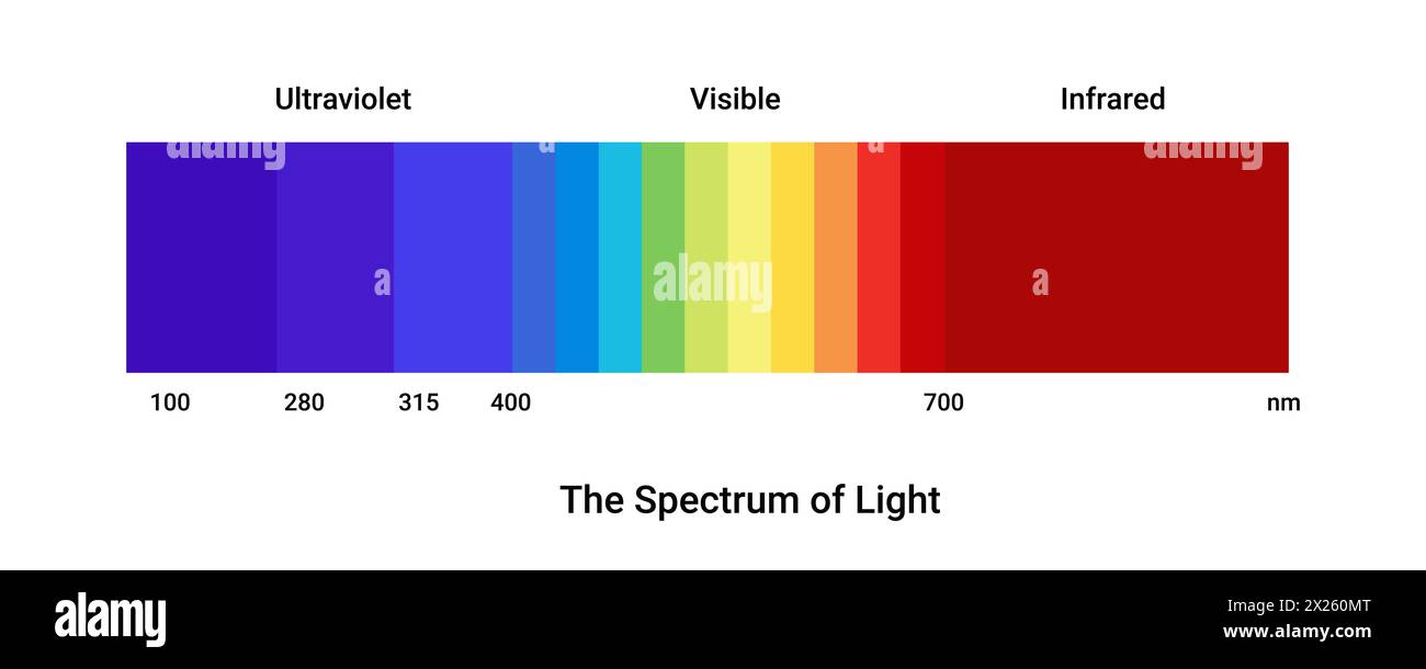 Spectrum light color scale. Ultraviolet led diagram with visible and ...