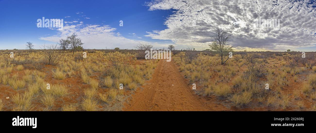 Panoramic picture over the Namibian Kalahari in the evening at sunset ...