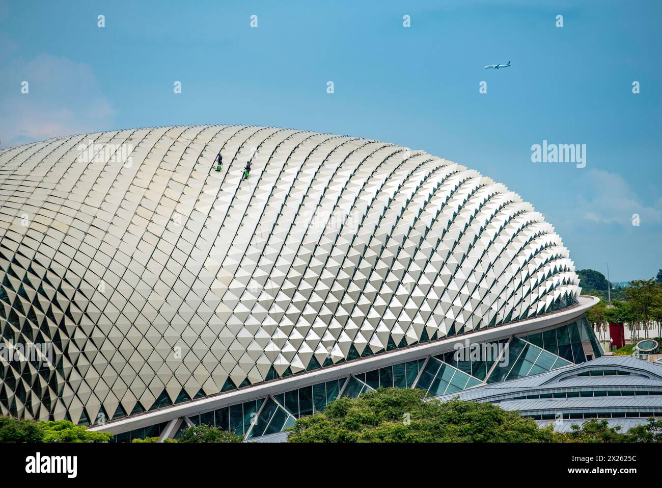 Two men wearing PPE harnesses working on the roof of one of the Esplanade - Theatres on the Bay ...