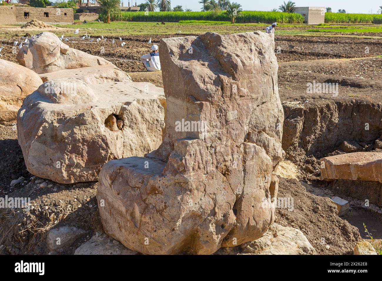 Egypt, Luxor West bank, Kom el Hettan, the million years temple of ...