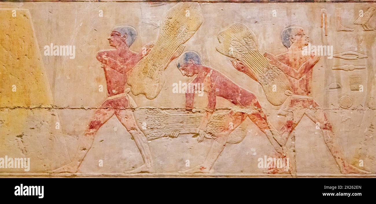 Egypt, Saqqara, tomb of Ty, agriculture : Put the sheafs on a stack ...